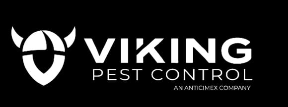 Ubiquity: Comprehensive BPO, Back-Office and CX Outsourcing Solutions